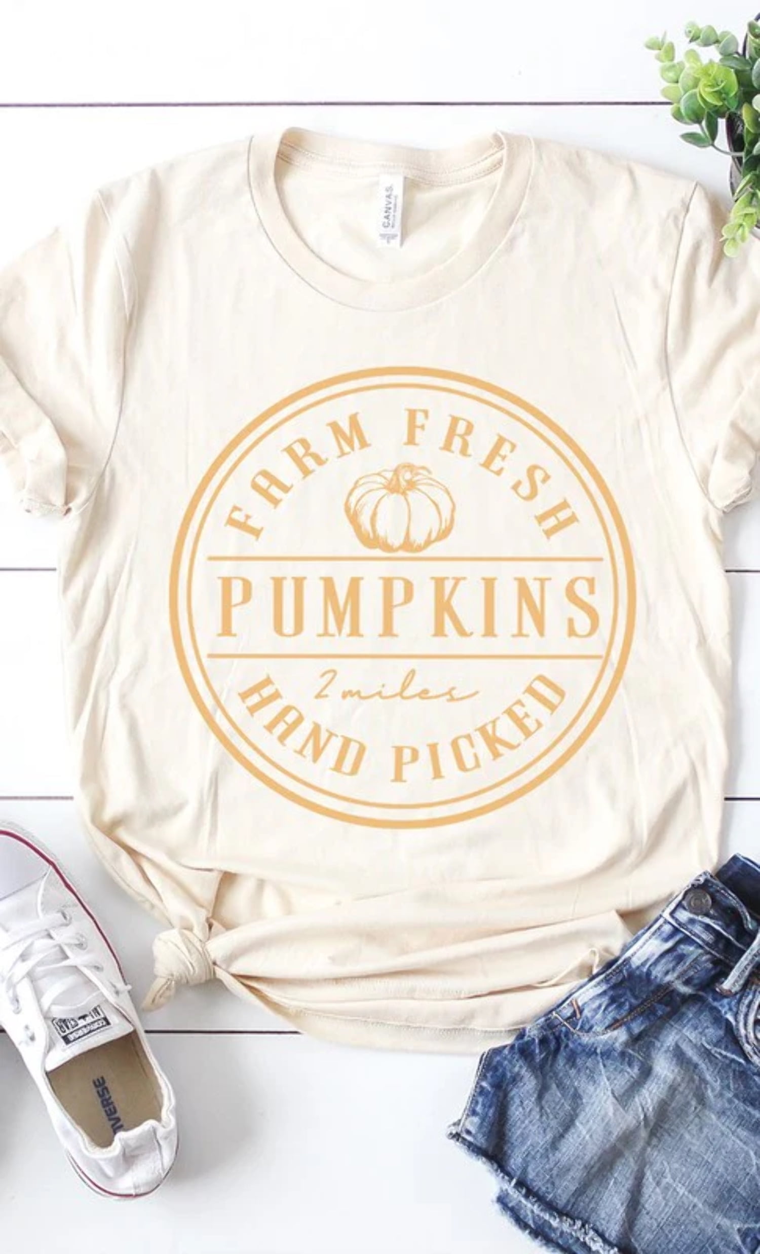 Farm Fresh Pumpkins Circle Graphic Tee T-Shirt - Walmart.com