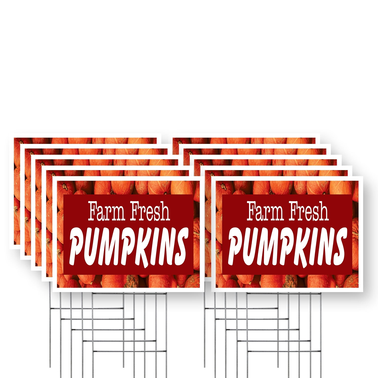 Farm Fresh Pumpkins Yard Sign 10 Pack of 12 Inch x 16 Inch Double Sided ...
