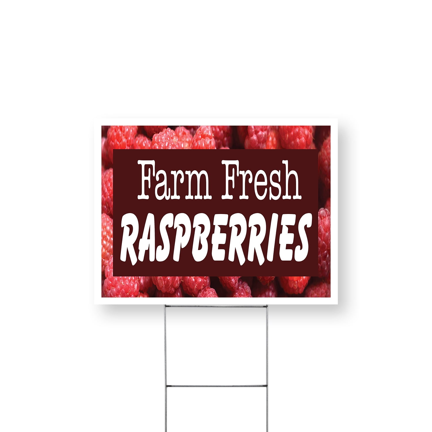 Farm Fresh Raspberries Yard Sign 18 Inch x 24 Inch Single Sided ...