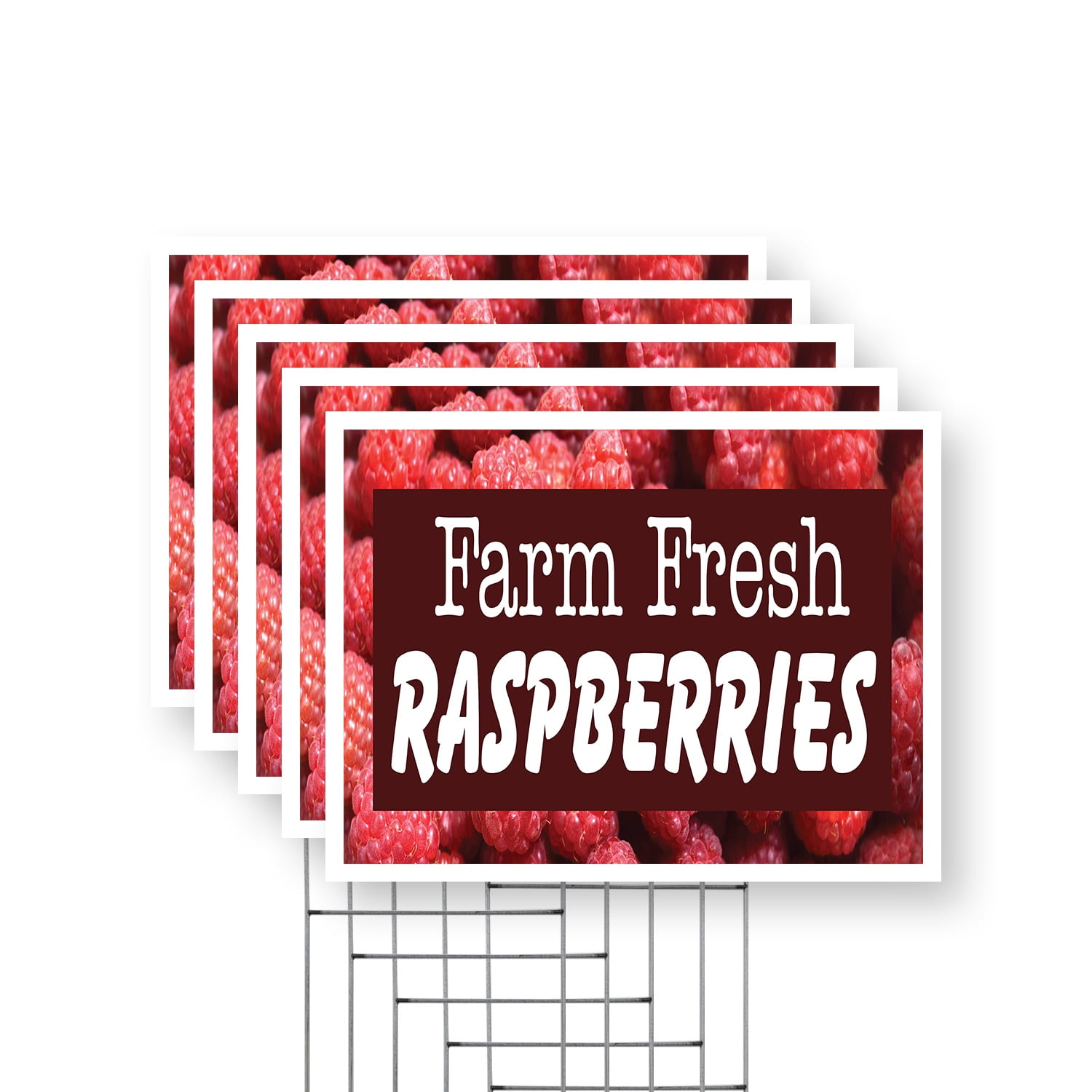 Farm Fresh Raspberries Yard Sign 5 Pack of 18 Inch x 24 Inch Single ...