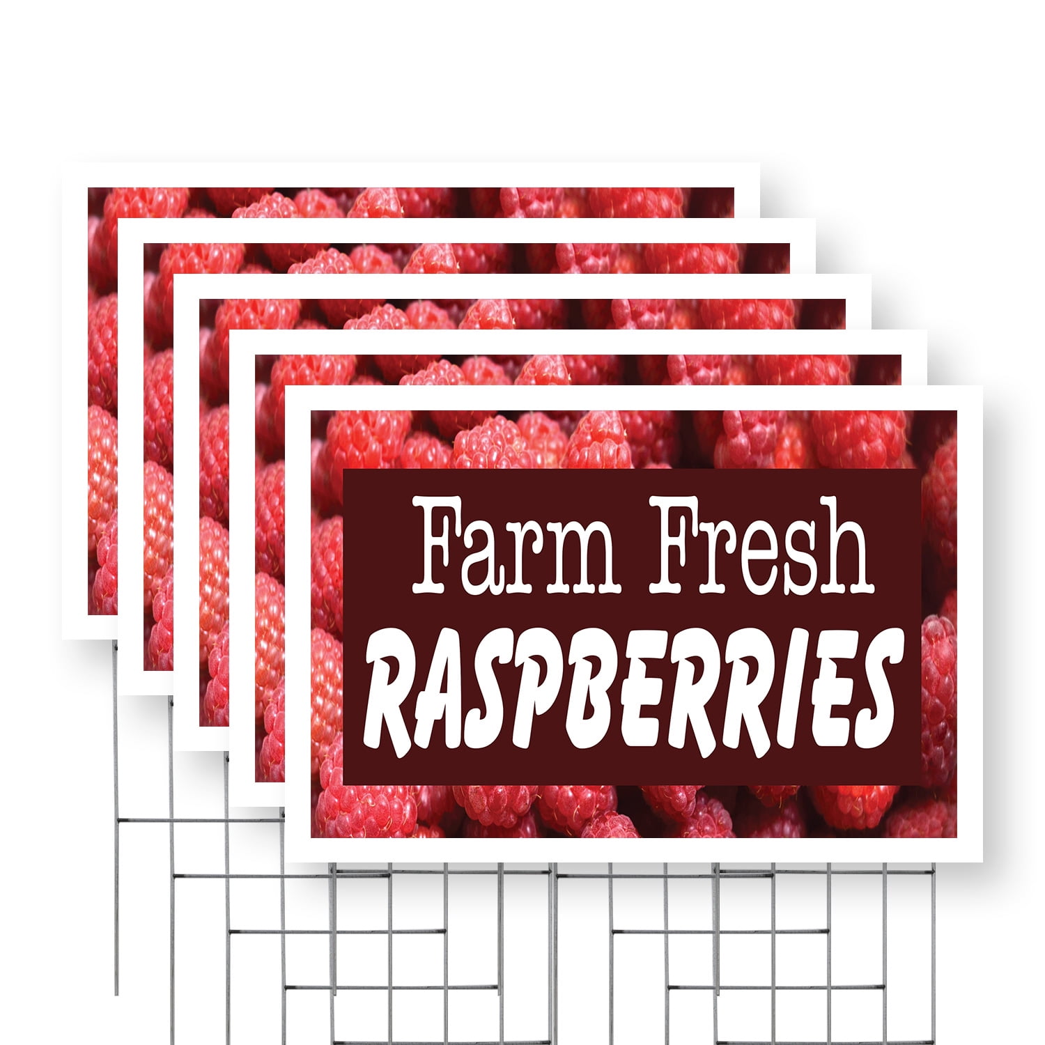 Farm Fresh Raspberries Yard Sign 5 Pack of 24 Inch x 36 Inch Single ...