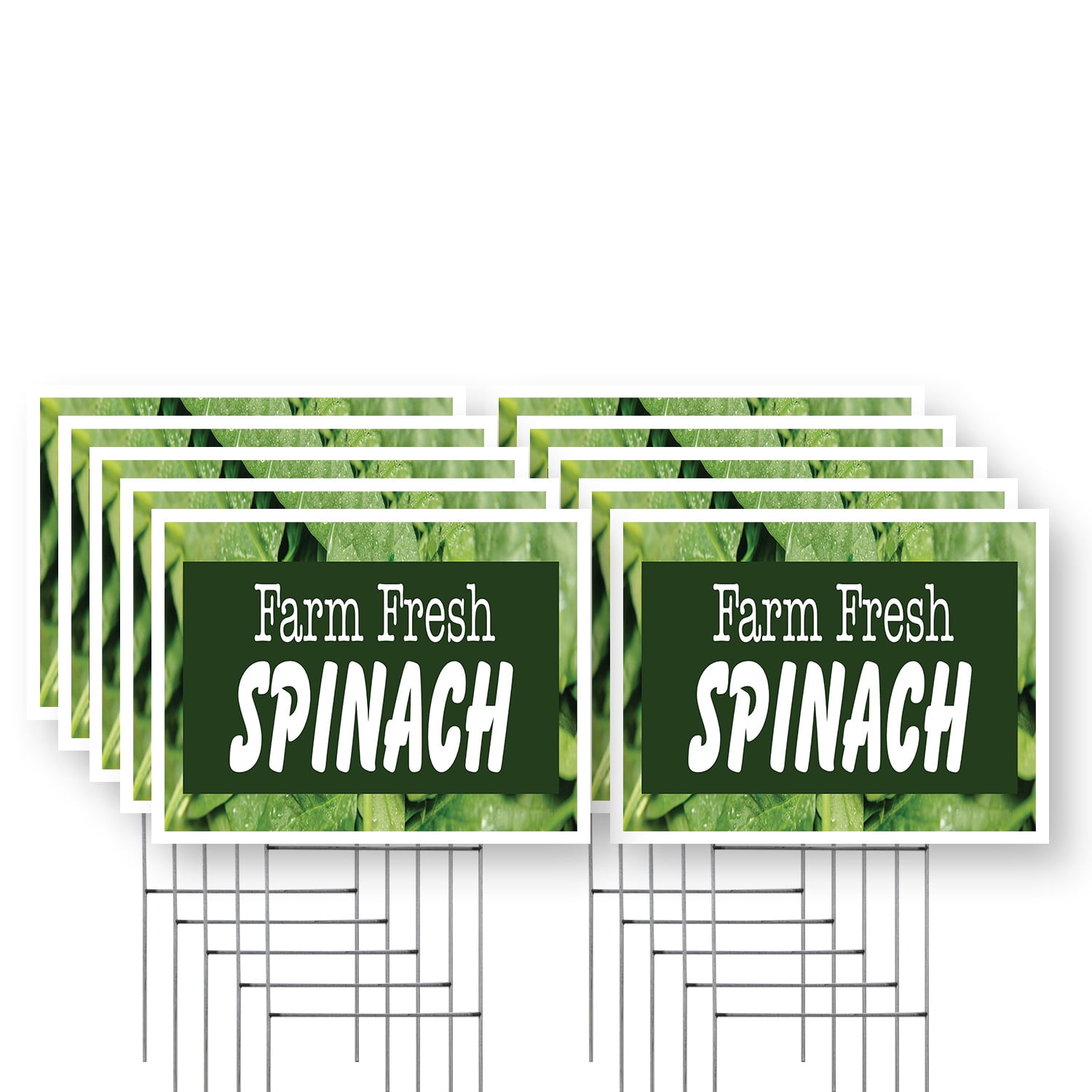 Farm Fresh Spinach Yard Sign 10 Pack of 12 Inch x 16 Inch Double Sided ...