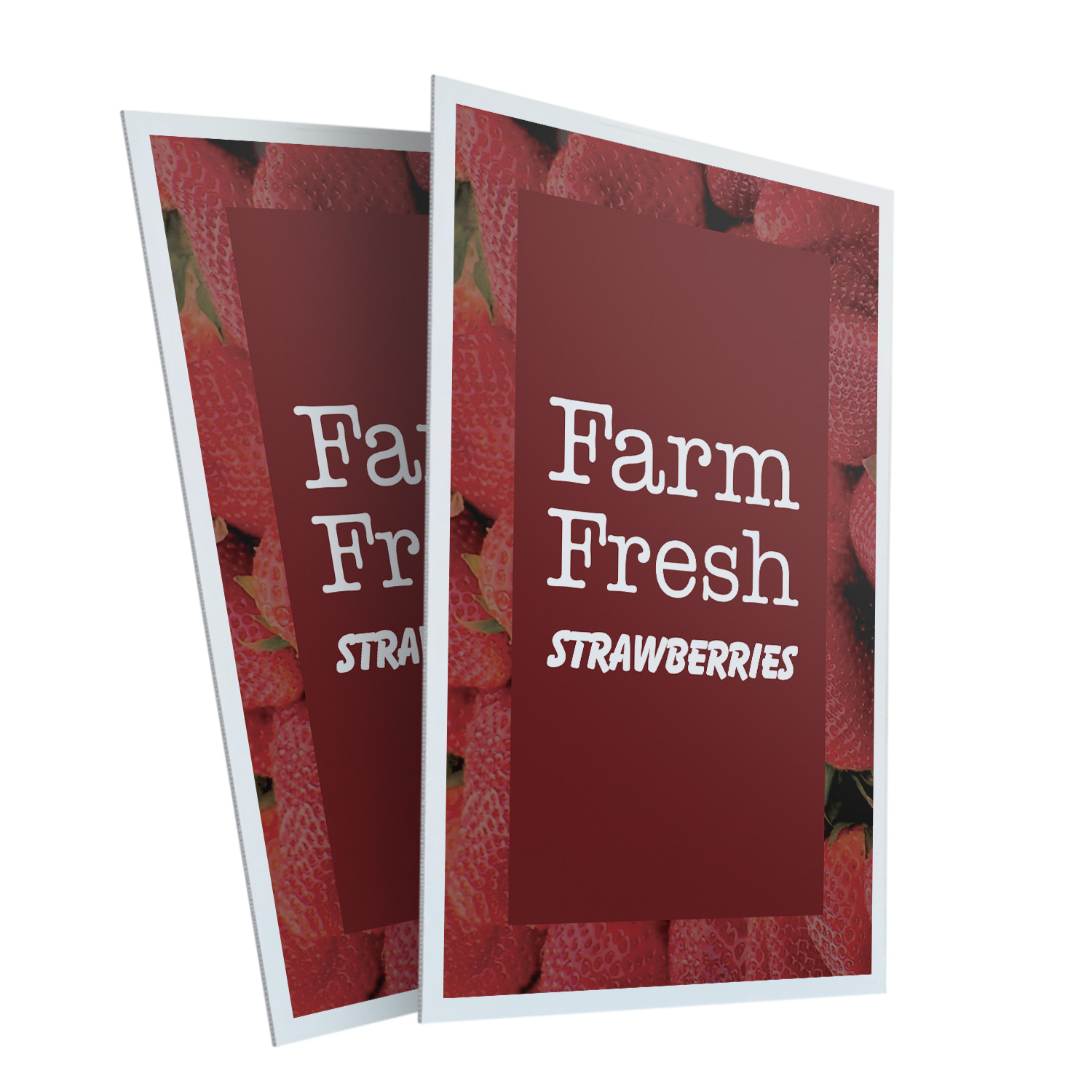 Farm Fresh Strawberries (2-Pack) 24 Inch x 36 Inch Plastic Signs | Sign ...