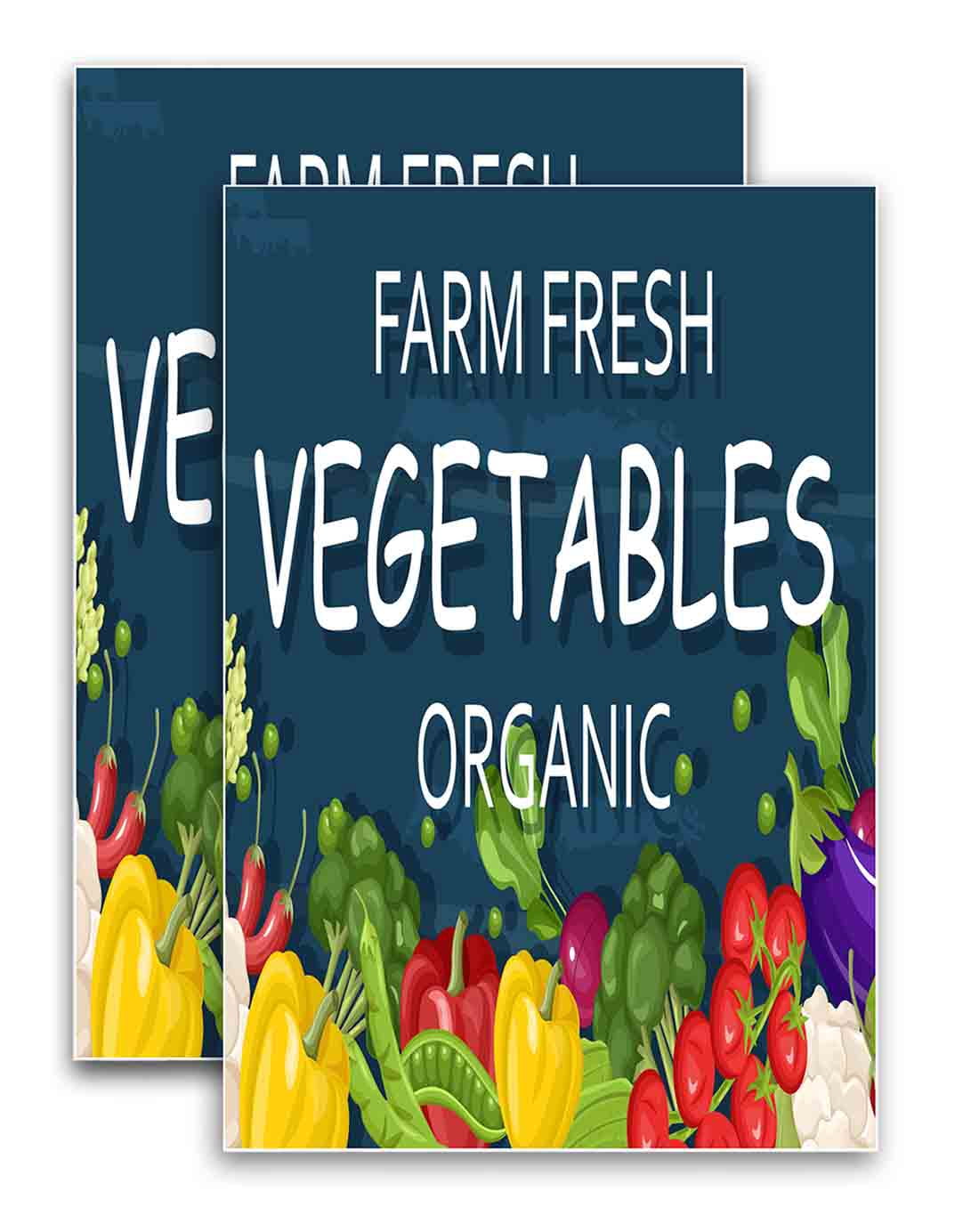 Farm Fresh Vegetables Organic (24