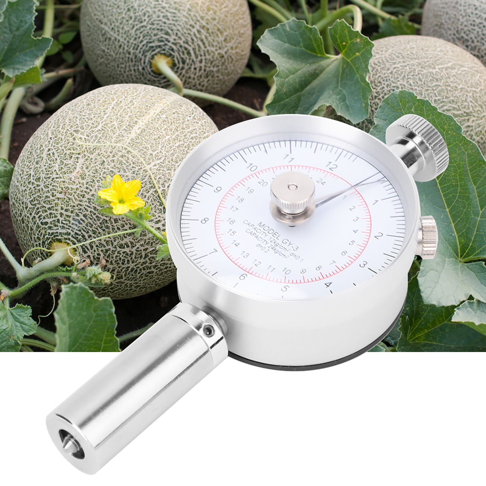 Farm Fruit Penetrometer Measure Fruits Harvesting Processing Time ...