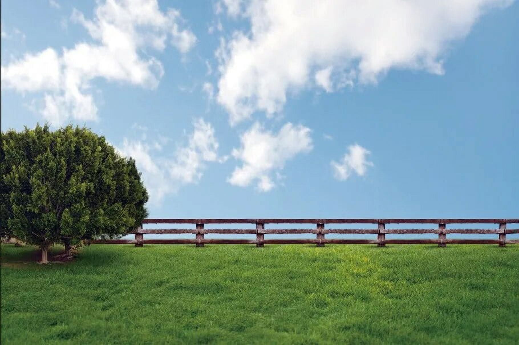 Farm Grassland Fence Blue sky Portrait Scene Photography Backgrounds ...