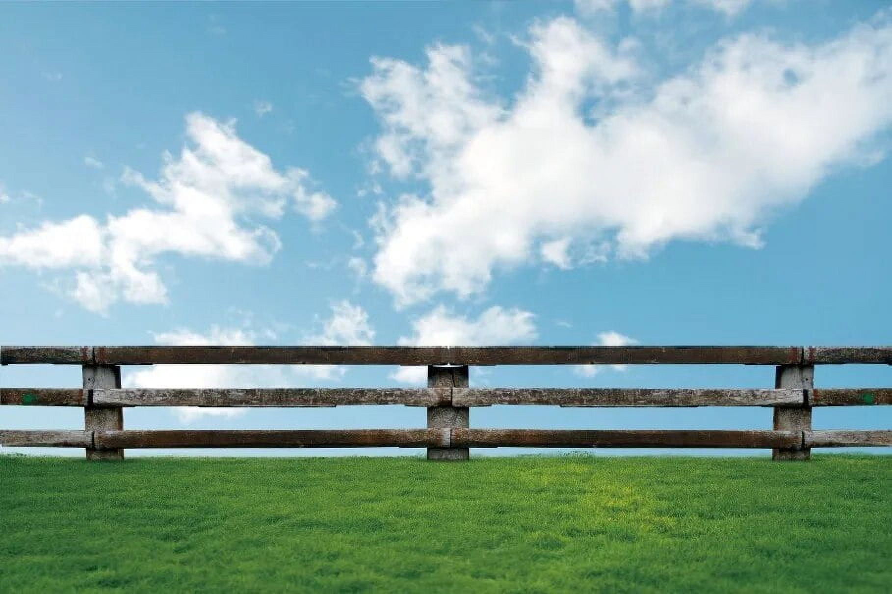 Farm Grassland Fence Blue sky Portrait Scene Photography Backgrounds ...