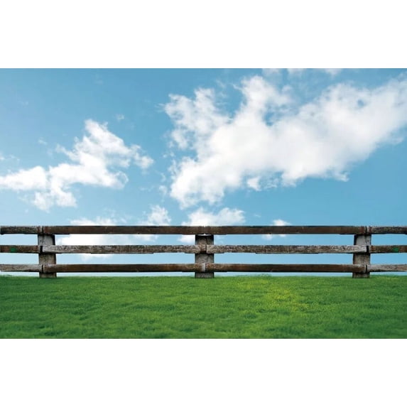 Farm Grassland Fence Blue sky Portrait Scene Photography Backgrounds ...