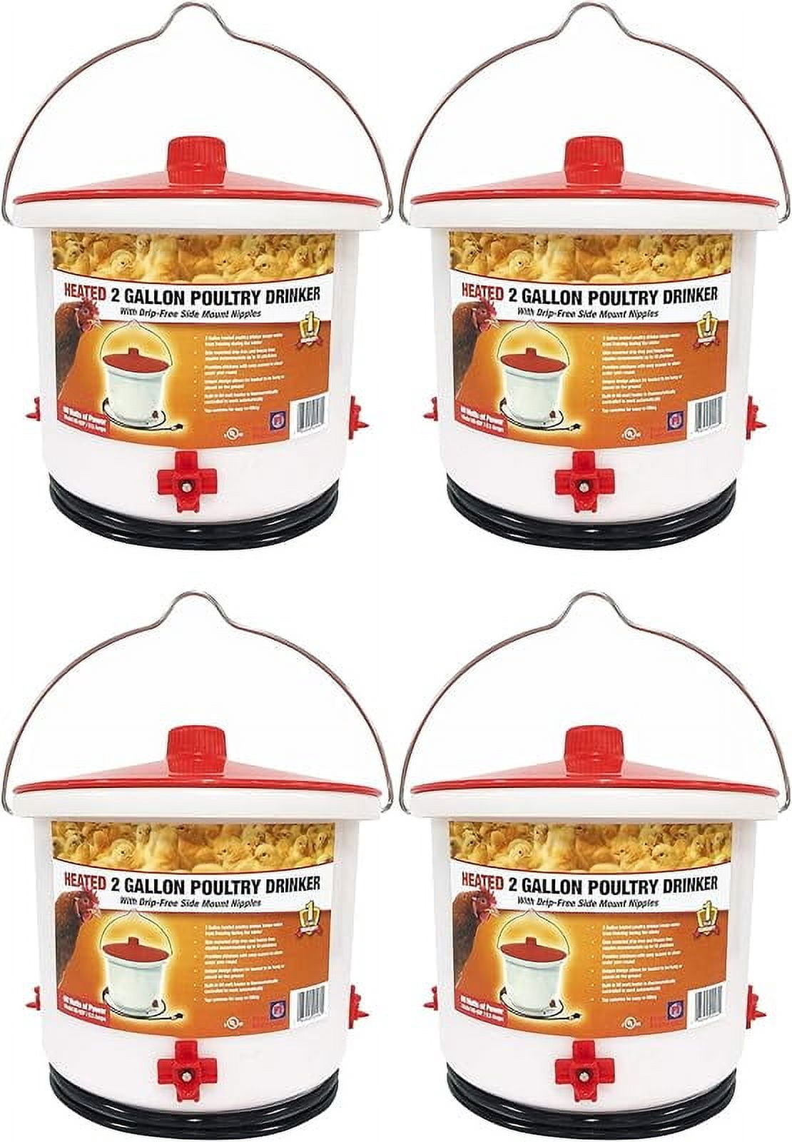 Farm Innovators 4 Pack Heated Chicken Waterer, Poultry Water Fountain ...