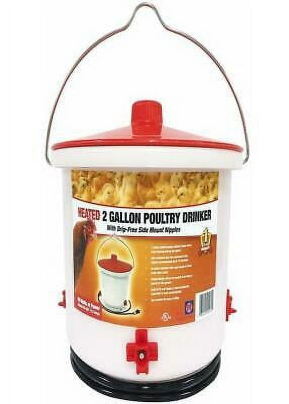 Farm Innovators Farm Innovators HB-60P Heated Poultry Drinker, 2 Gallon ...