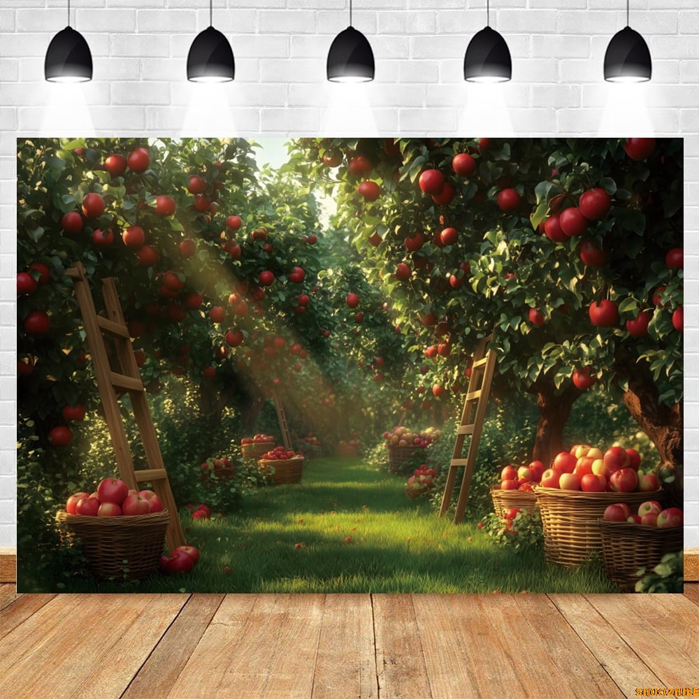 Farm Orchard Field Sce Photography Background Tree Paradise Harvest ...