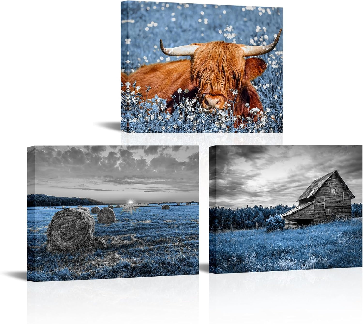 Farm Pictures Wall Farmhouse Highland Cow Cattle Hay Art Prints on ...