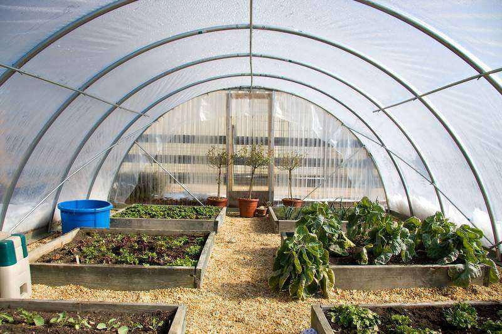 IRAC Greenhouse Film-40' x 20'-4 Year UV Resistance Clear-6 mil ...