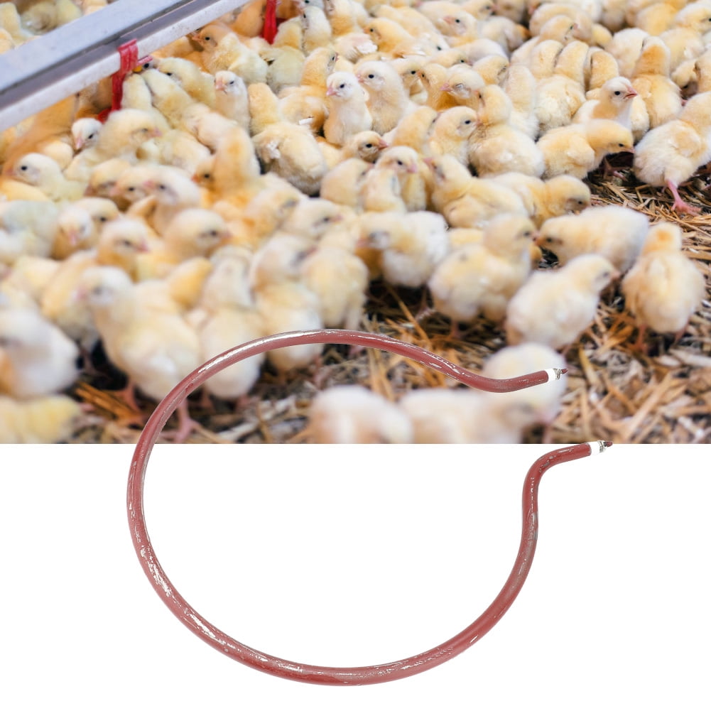 Farm Round Animal Incubator Heating Tube Chicken Poultry Hatching Tool ...