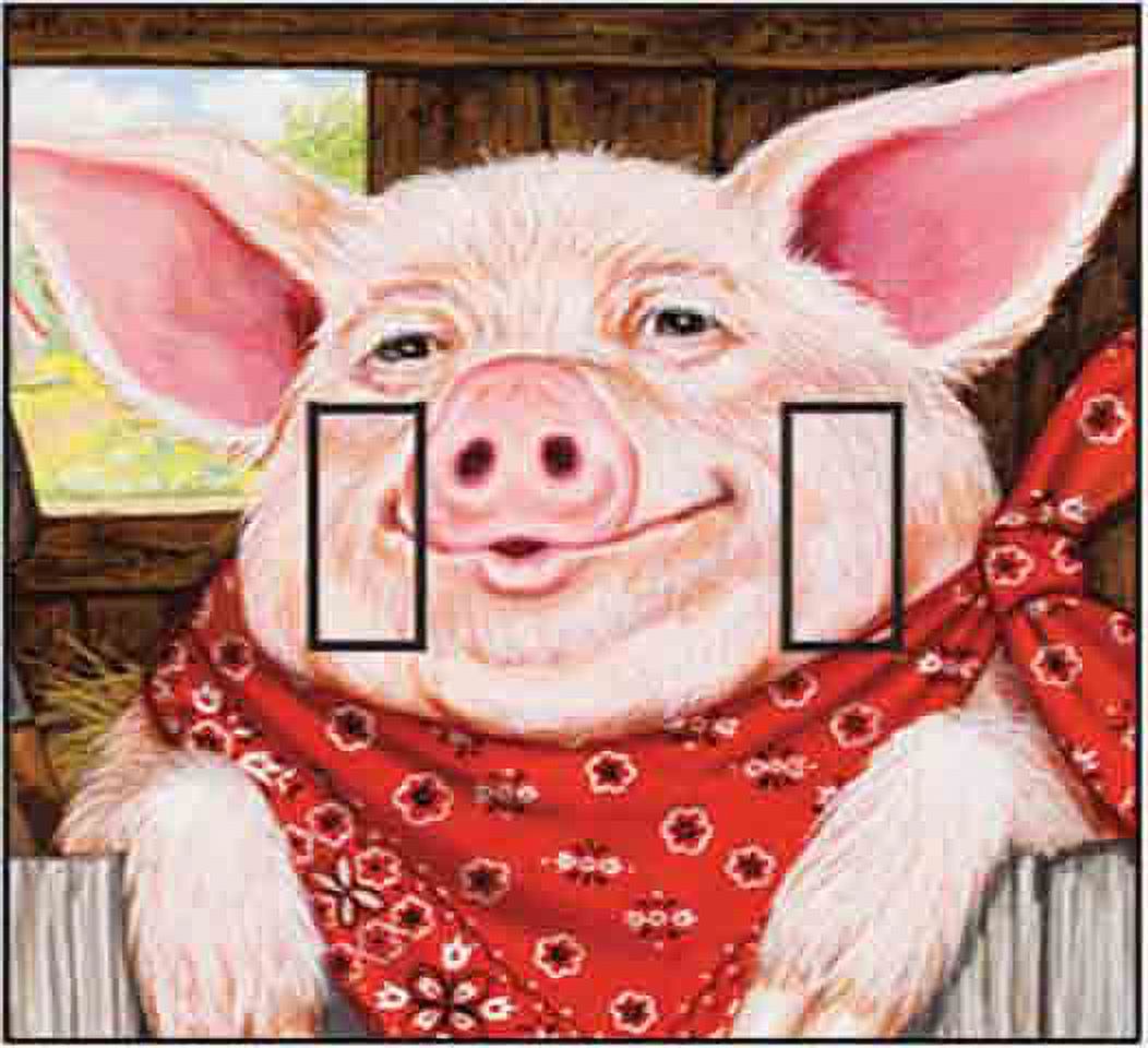 Farmer Pig Double Toggle SwitchStix Peel and Stick Art Deco Switch ...