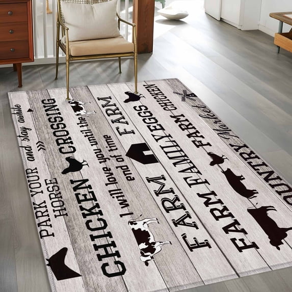 Farmhouse 3x5 Rug for Bedroom Foot of Bed Small Living Room, Country ...