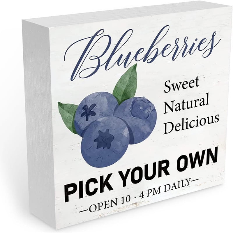 Farmhouse Blueberry Ceramic Table Sign Plaque Decor Blueberries Sweet ...