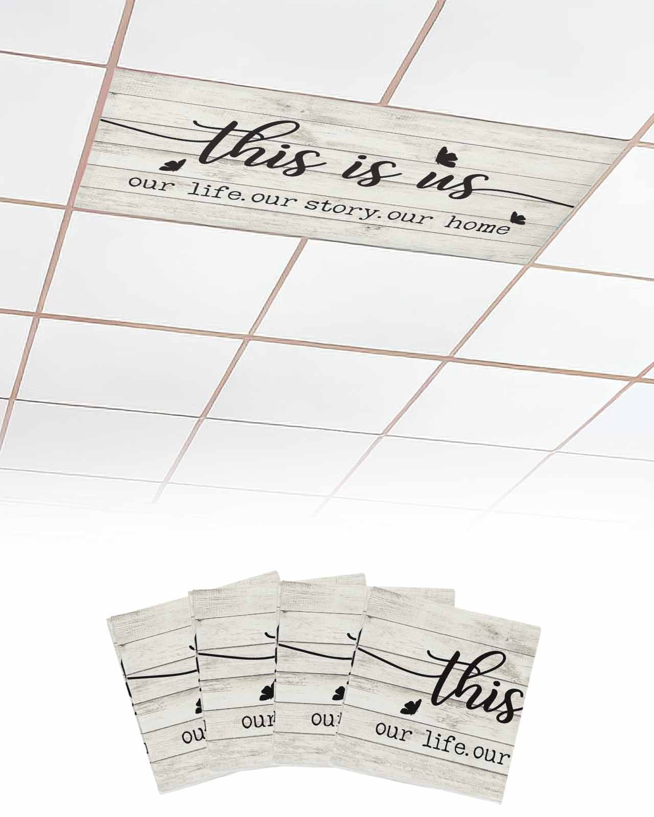 Farmhouse Butterfly Fluorescent Light Covers for Ceiling Lights 4x2 ...