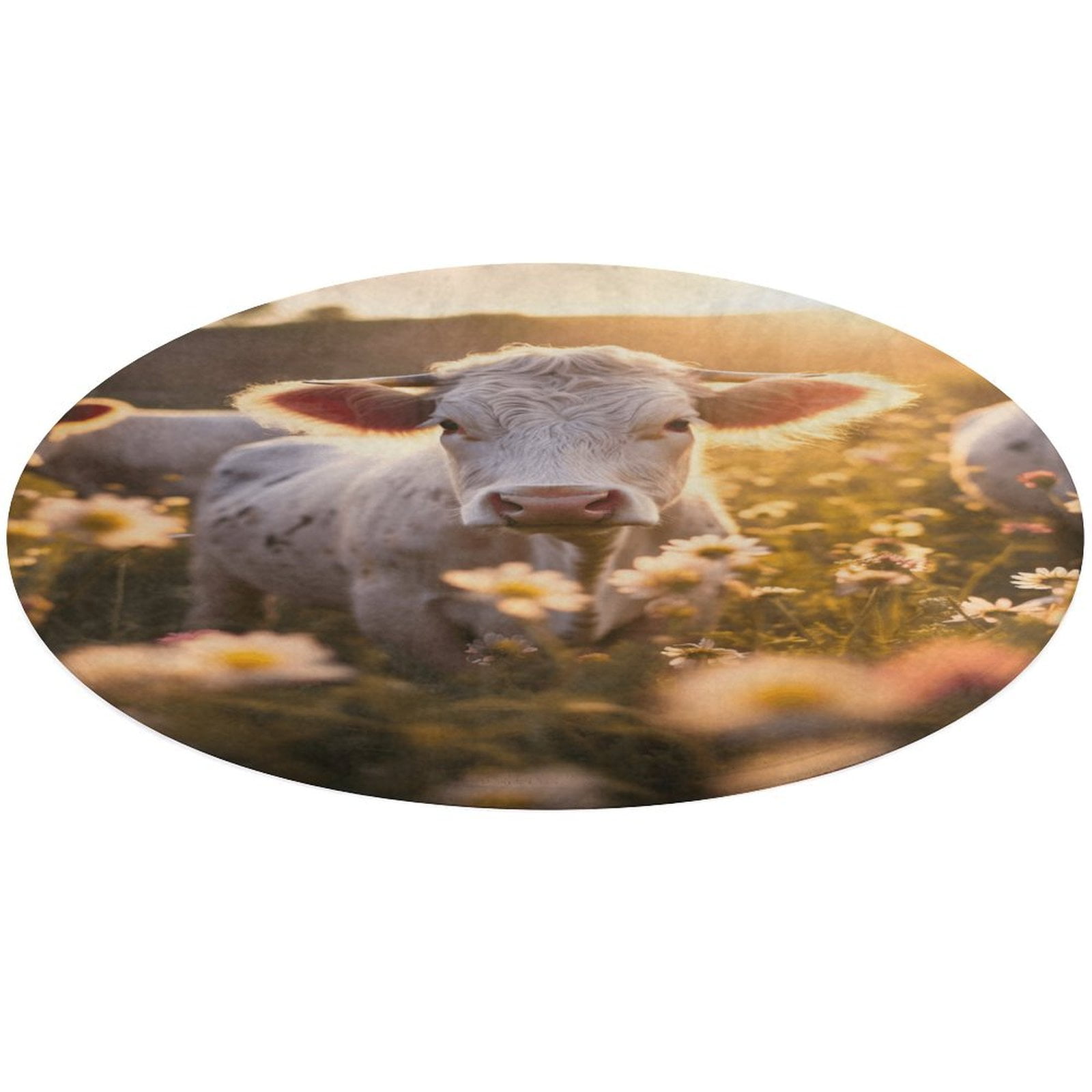Farmhouse Highland Cow Funny Cattle And Flower Round Rugs -Washable Non ...
