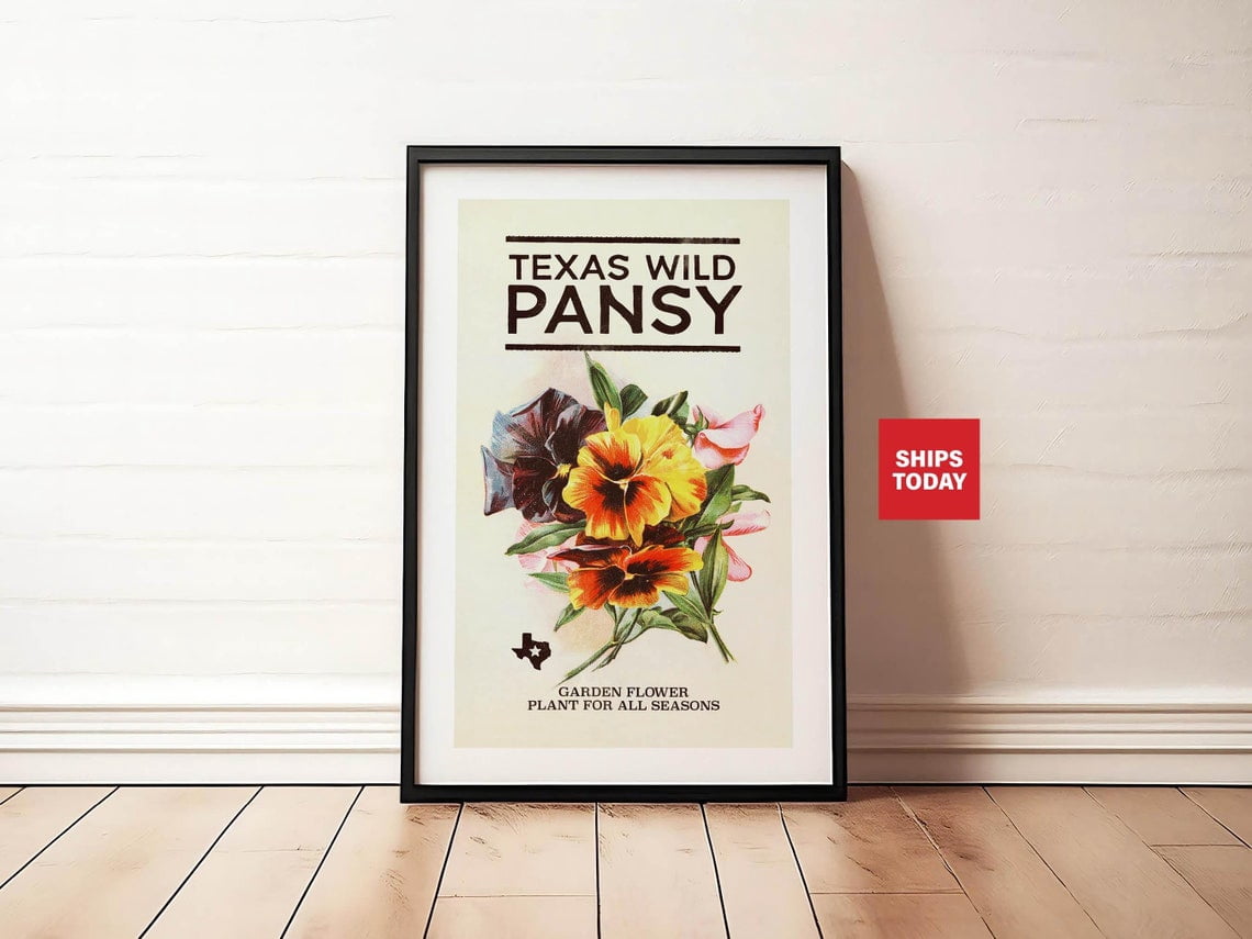Farmhouse Pansy Print Retro Kitchen Art Decor Texas Wild Pansy Kitchen ...