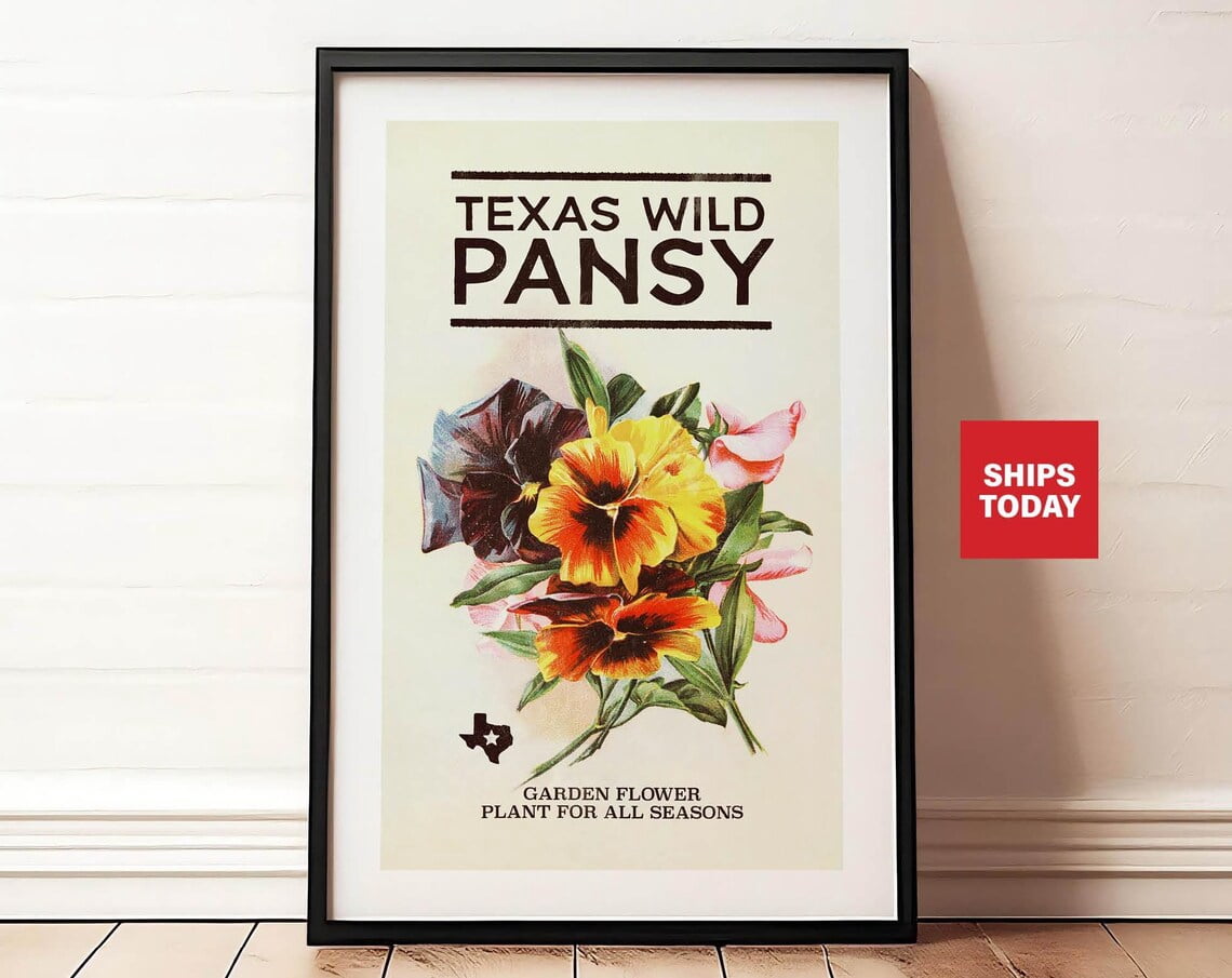 Farmhouse Pansy Print Retro Kitchen Art Decor Texas Wild Pansy Kitchen ...