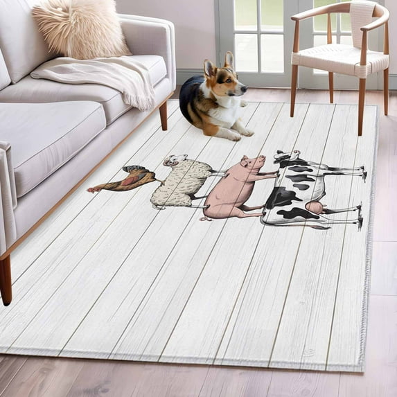 Farmhouse Wooden Grain Area Rugs 4'x6', Washable Small Throw Rugs for ...