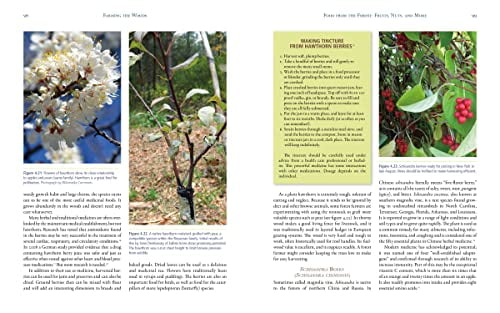 Pre-Owned Farming the Woods: An Integrated Permaculture Approach to ...