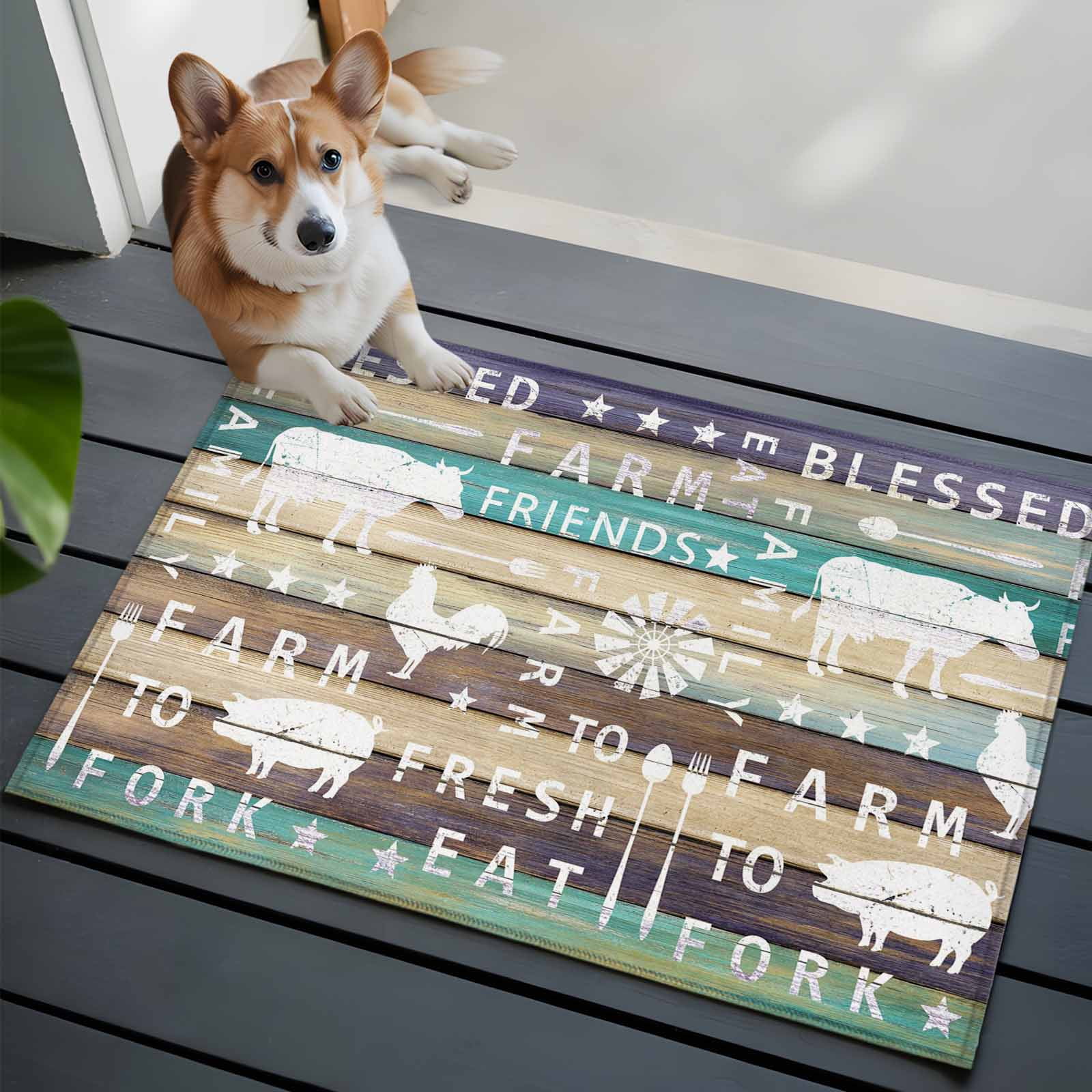 Farms Animals Front Door Rugs 2x3 ft Country Cow Pig Chickens Blue ...