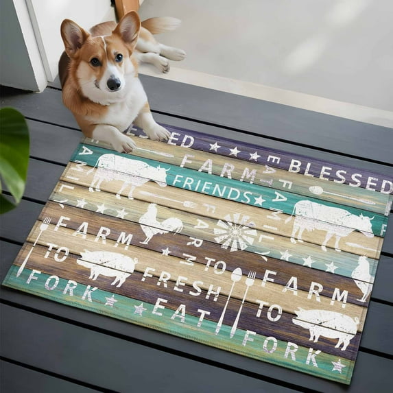 Farms Animals Front Door Rugs 2x3 ft Country Cow Pig Chickens Blue ...