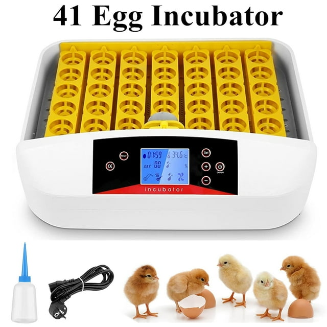 Farms Nurture Right Incubator | Egg Incubator for Hatching Chicks ...