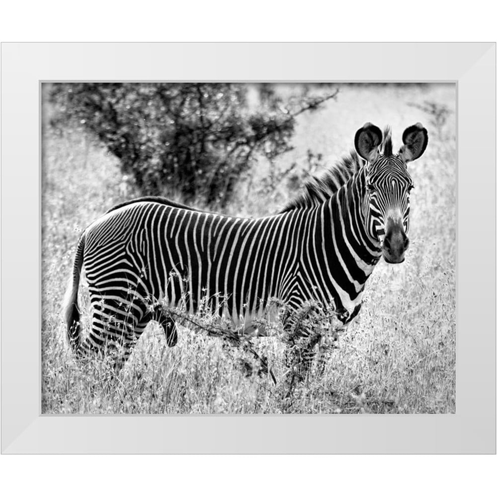 Farnsworth, Sarah 14x12 White Modern Wood Framed Museum Art Print ...