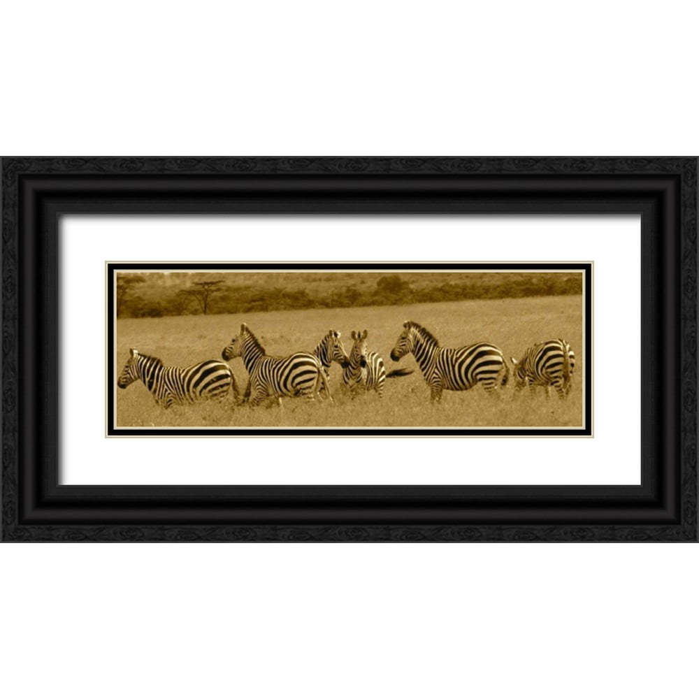 Farnsworth, Sarah 24x11 Black Ornate Wood Framed with Double Matting ...