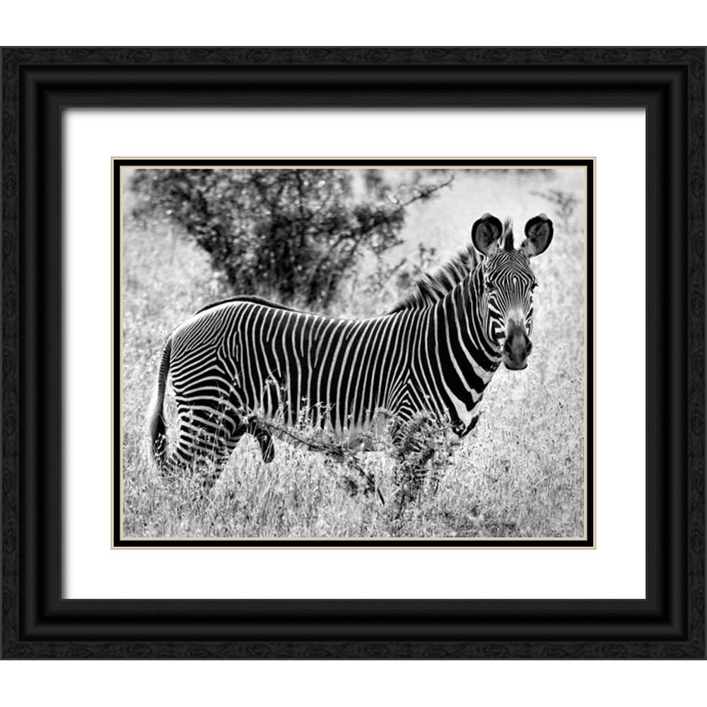 Farnsworth, Sarah 24x20 Black Ornate Wood Framed with Double Matting ...