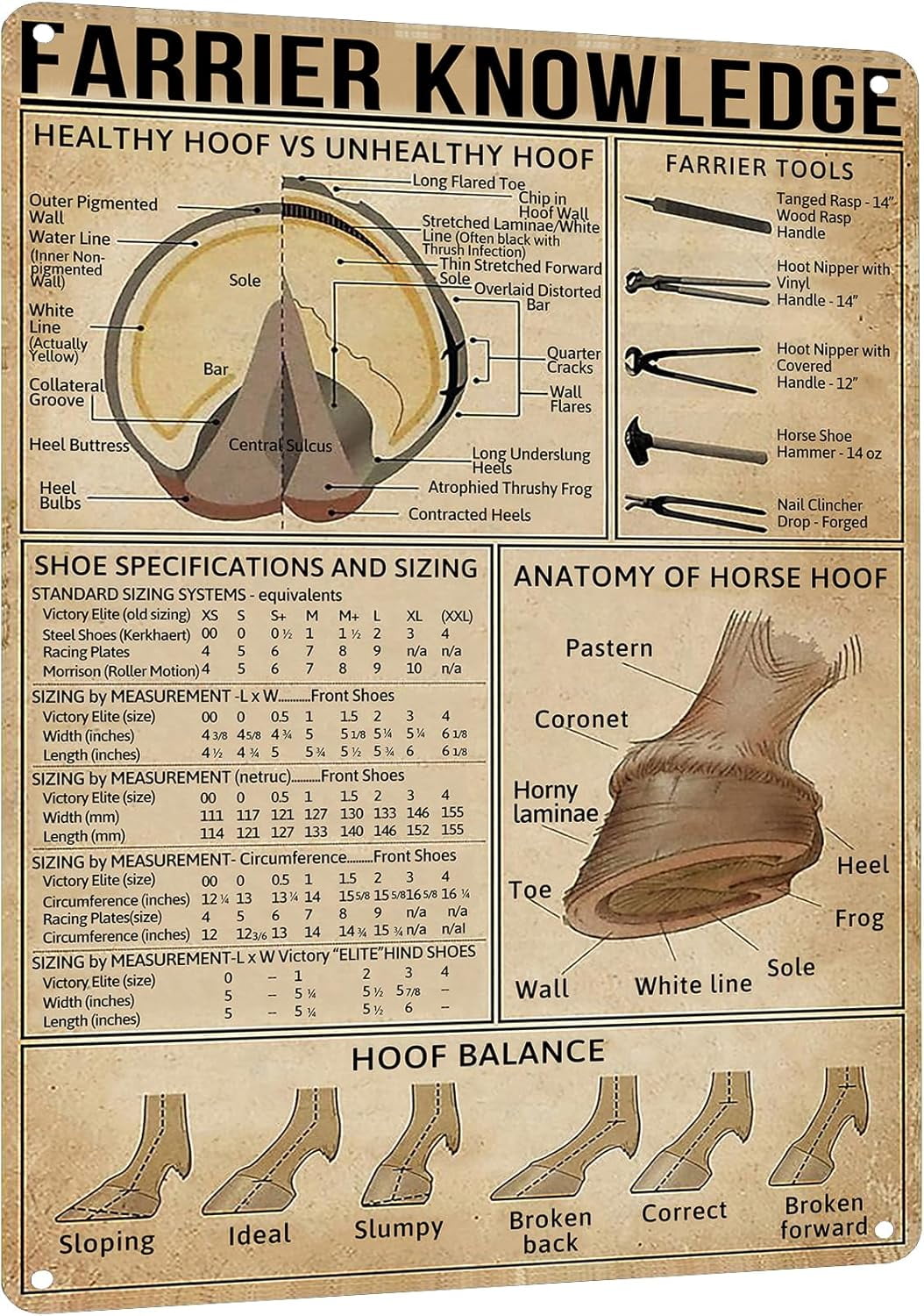 Farrier Knowledge Horse Hoof Anatomy Tin Sign - Educational Retro Metal ...