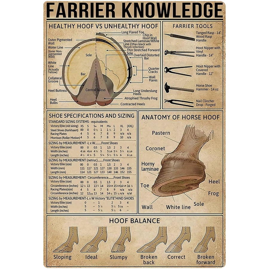 Farrier Knowledge Metal Aluminum Sign Anatomy Of Horse Hoof Retro ...