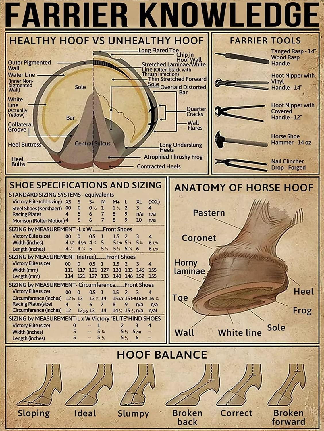 Farrier Knowledge Metal Tin Signs Anatomy Of Horse Hoof Vintage Poster ...