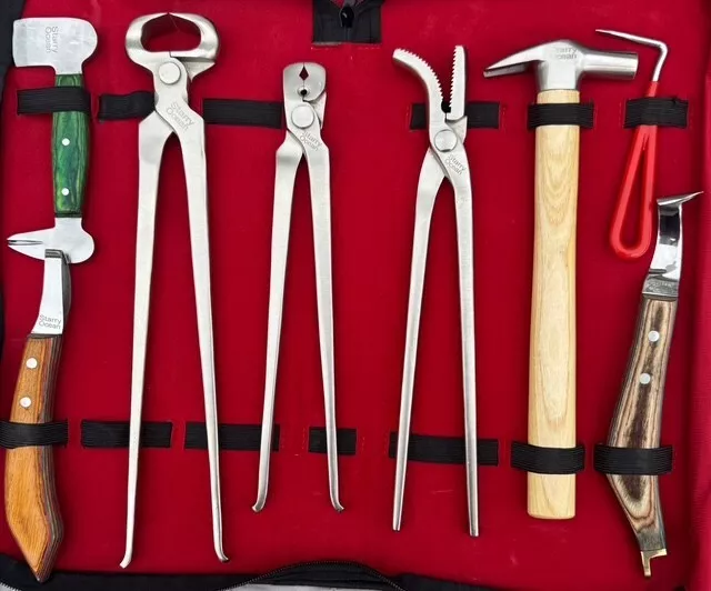 Farrier Tools Kit with Driving Hammer, Hoof Knife Set, Buffer, 12" Hoof ...