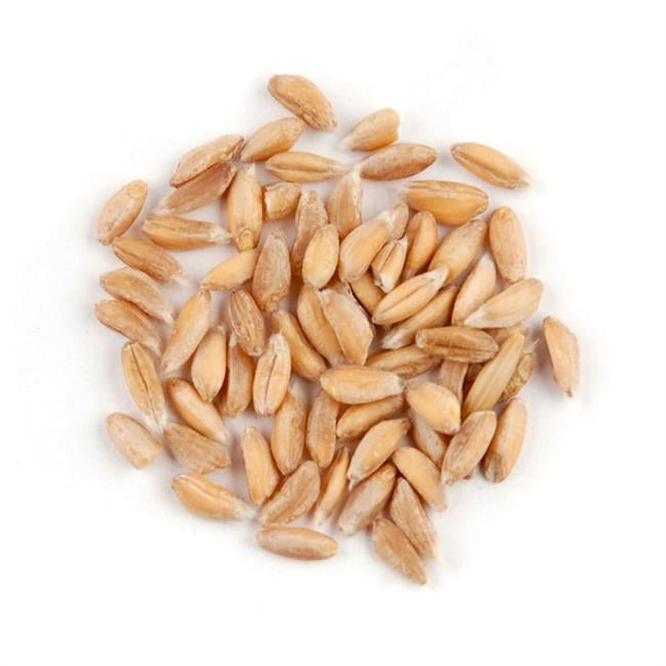 Farro, 10 Pound Bag - Walmart.com