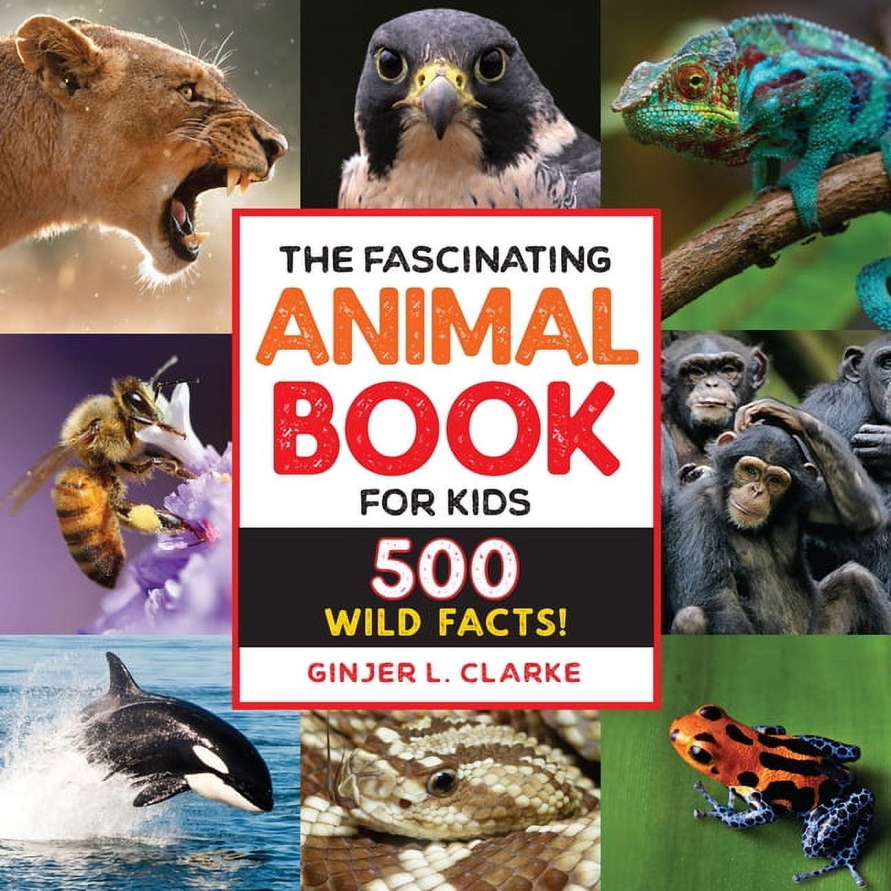 Ginjer Clarke, Animal Encyclopedia, 500 Wild Facts, For Kids Ages 9-12 ...