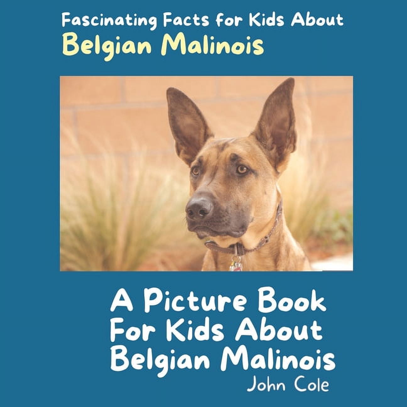 Fascinating Facts about Animals: Childrens Picture Books about Animals ...