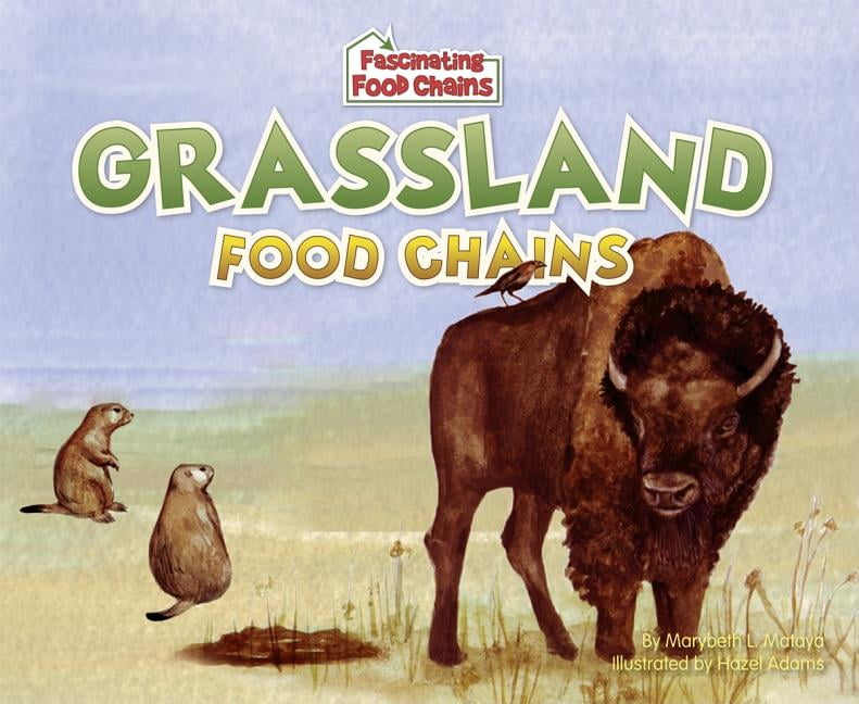 Grassland Food Chain