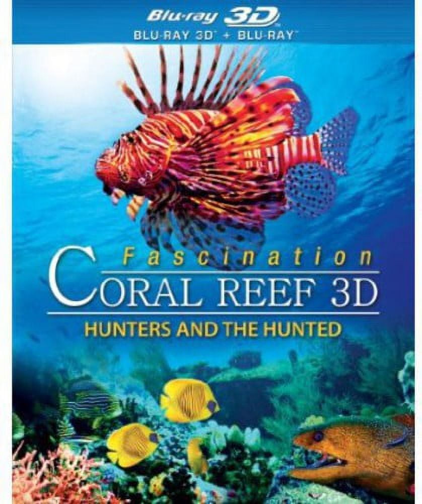 Fascination Coral Reef: Hunters and the Hunted (Blu-ray) - Walmart.com