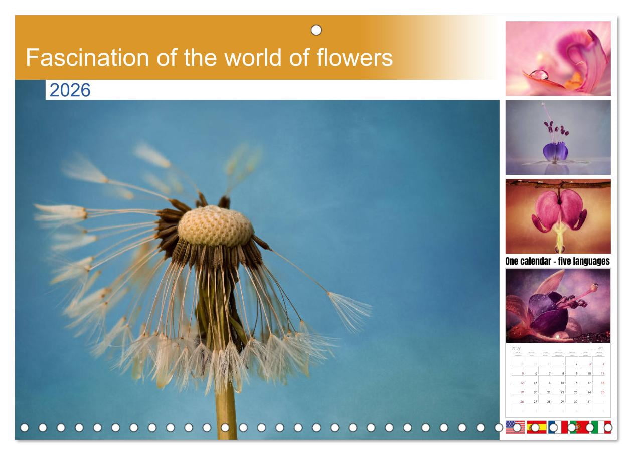 Fascination of the world of flowers (Monthly Wall Calendar 2026 11.7 x ...