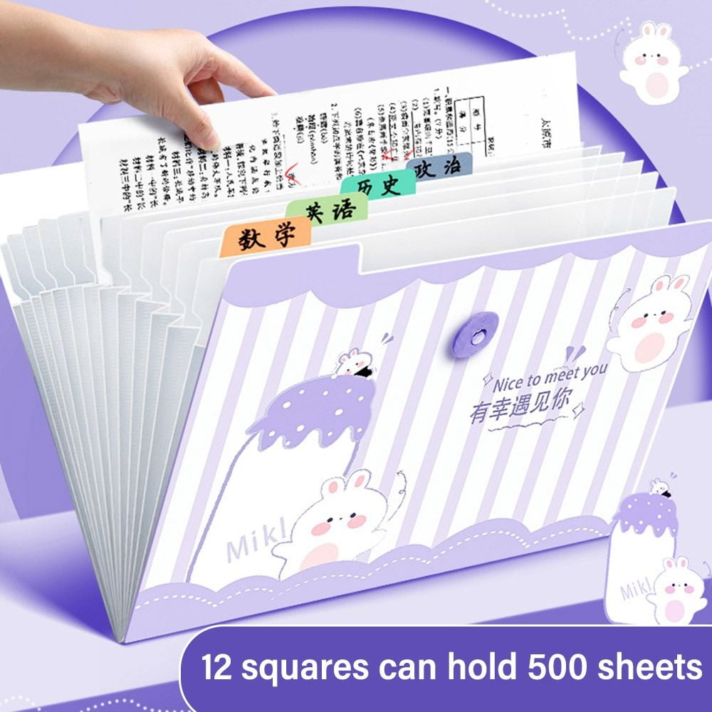Fashion PP Envelope Folder 8/13 Pockets Portfolio Large Capacity A4 ...