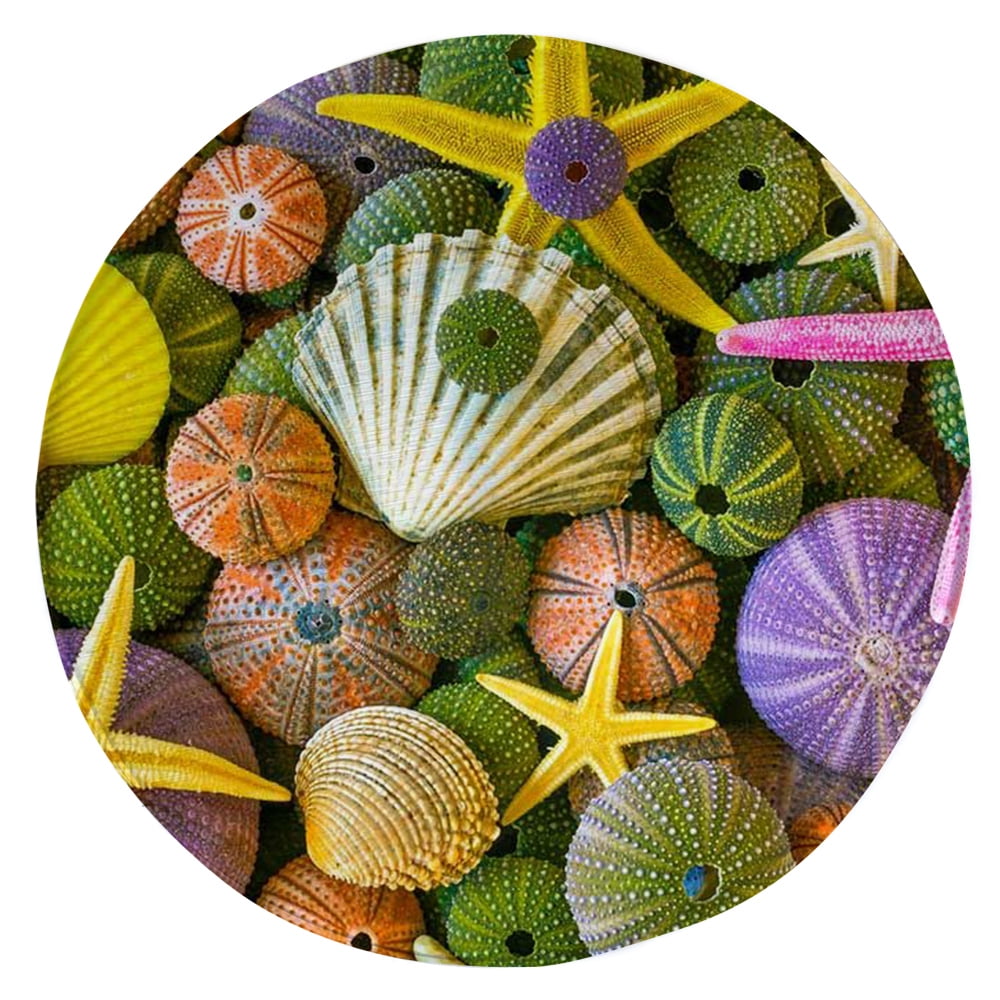 Fashion Round Carpet Ocean Beautiful Shells Pattern 3D Printed Rug ...