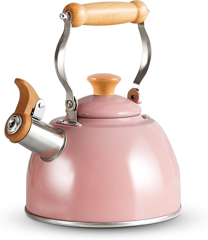 Fashion Tea Kettle, Tea Pot with Cool Touch Ergonomic Handle, Teapot ...