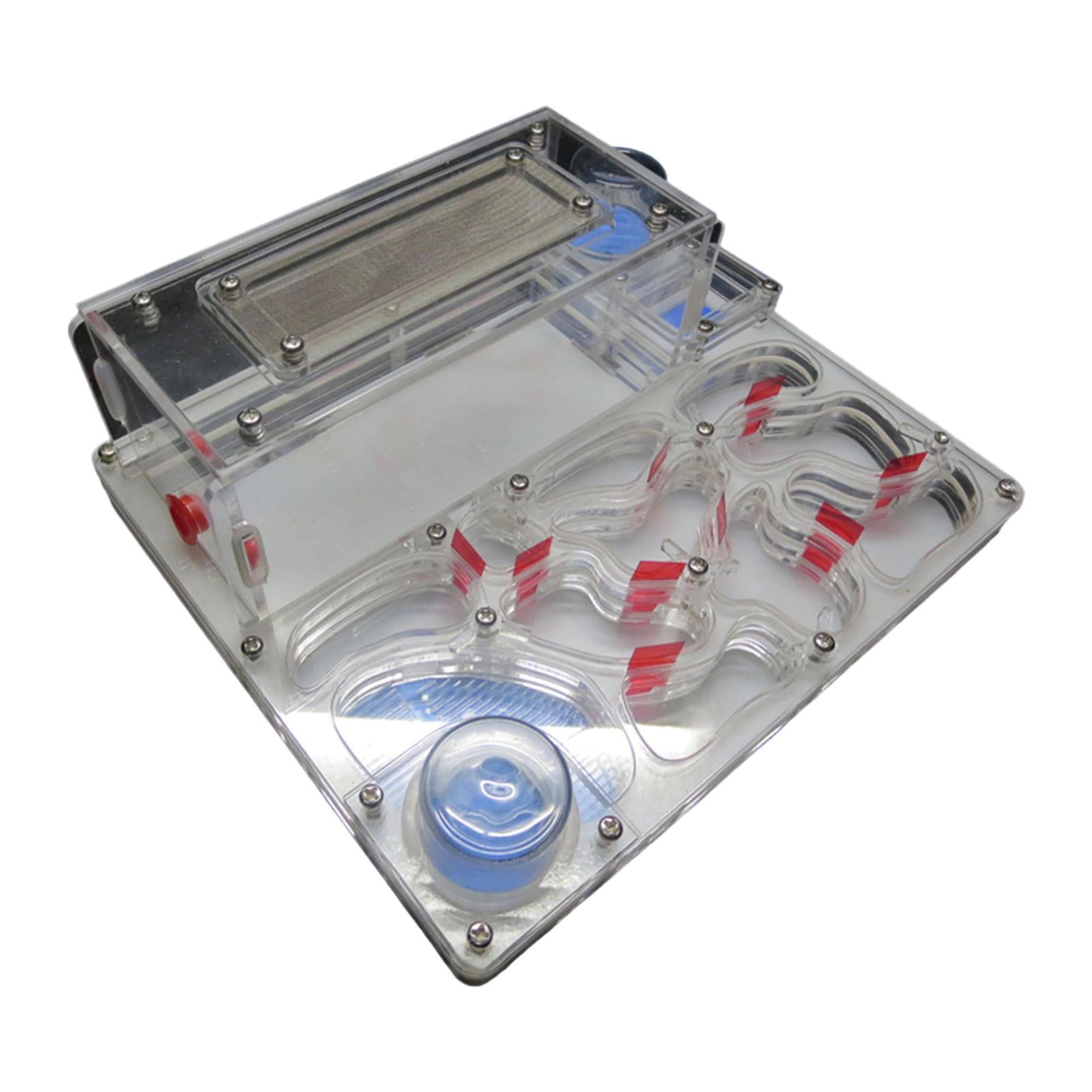 FashionCha ANT Nest Farm ANT Factory Sturdy Castle Insect Villa House ...