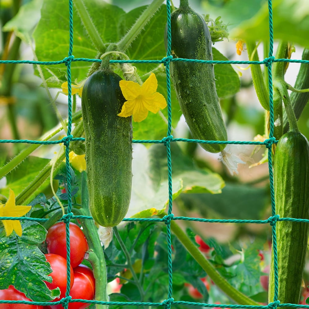 FashionMio 5.9x11.8 FT Green 27 Strand Nylon Garden Trellis for Outdoor ...