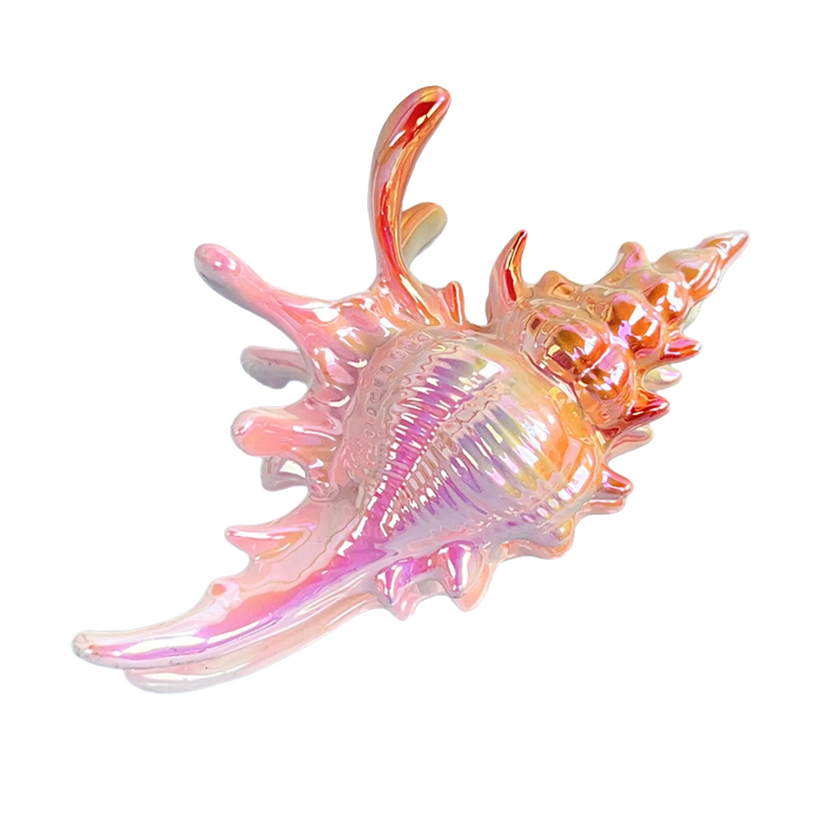 Fashionable Conch Shaped Hair Clip Hair Accessory Nonslip Teeth Detail ...