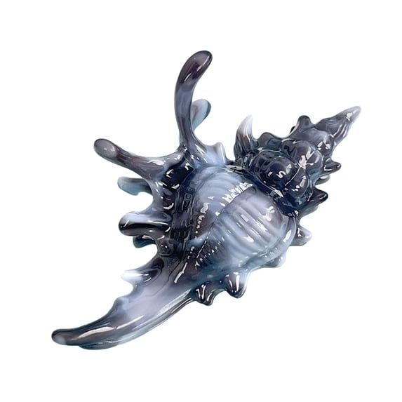 Fashionable Conch Shaped Hair Clip Hair Accessory Nonslip Teeth Detail ...